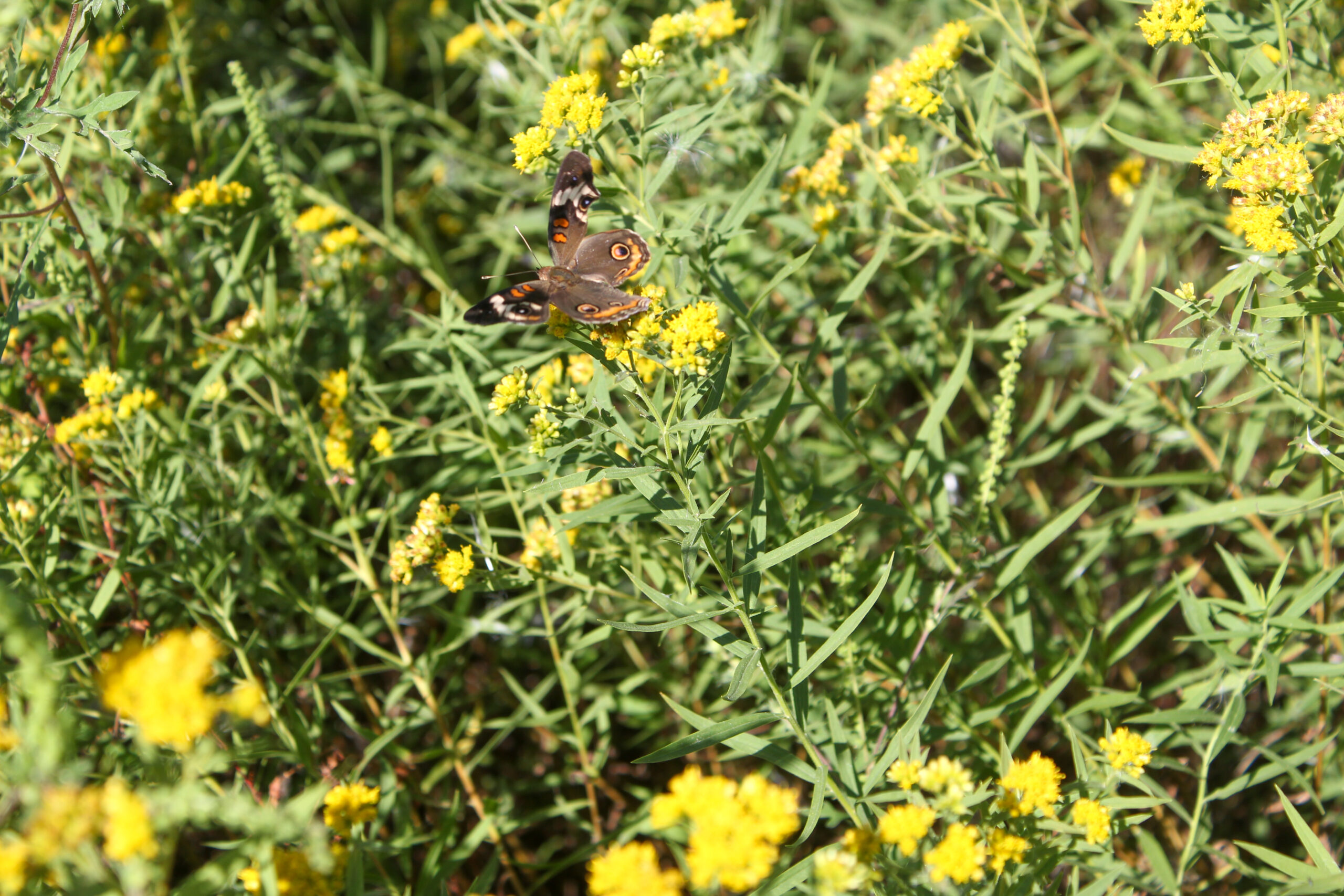 Gallery – Interactive Media Productions